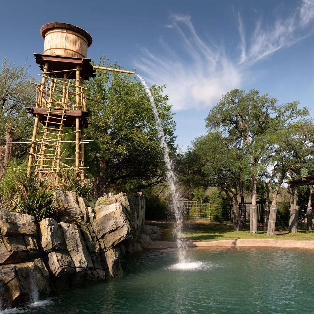 Elephant Springs Now Open at Fort Worth Zoo! - Edge Themed Environments